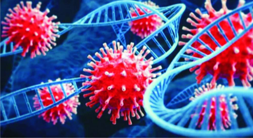 દેશમાં ર૪ કલાકમાં કોરોનાના ૭૧,૩૬પ કેસ નોંધાયાઃ ૧ર૧૭ મૃત્યુઃ સંક્રમણમાં ...